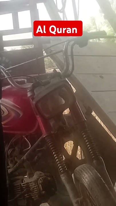 Alquran Nature Surahkahaf Surahkahaf Surah Beautiful Pawarholakhalidhobijatimere Youtube