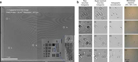lens free gigapixel imaging using a ccd sensor chip a a download