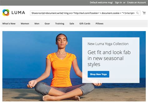An Intro To Xss For Magento Developers Max Chadwick