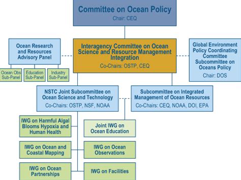 Program Governance Processes And Procedures