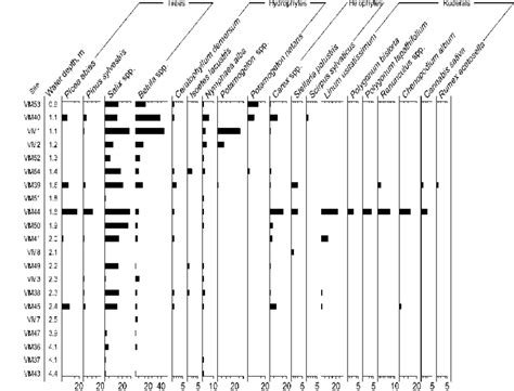 Representation Of Macrofossils Number Of Macrofossils In 100 Cm 3 Of Download Scientific