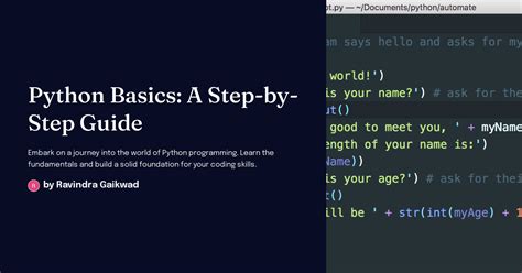 Python Basics A Step By Step Guide