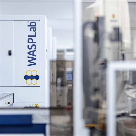 Wasplab Joaquim Chaves Corporate