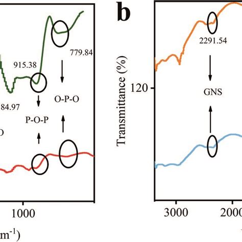 ftir patterns of various powders a sr zn doped cpp and sr doped cpp