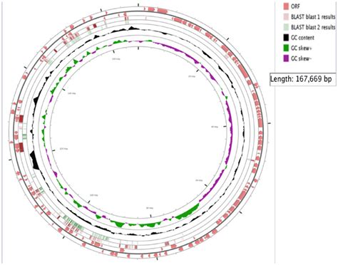 The Annotation Tracks Of Our Plasmidome Collection Of Our Plasmids Download Scientific