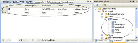 ASP NET Salvando Imagens Em Um Banco De Dados SQL Server