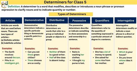Determiners For Class 5 Definition Types Examples Worksheet And Pdf