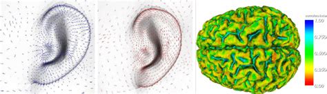 Curvature Estimation Using Multi Scale Analysis And Normal Cycle Download Scientific Diagram