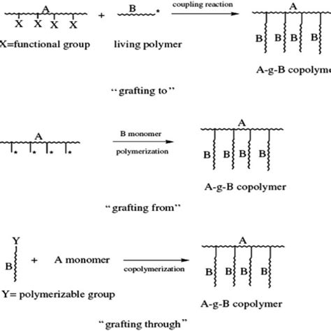Chemical Illustration Of Starch Structure 38 Copyright 2021 Adapted