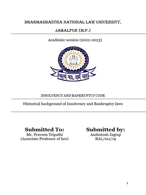 Ibc Project Pdf Bankruptcy Loans Ibc Project Pdf Bankruptcy Loans