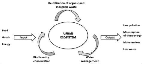 Schematic Diagram Of The Dynamics Of Urban Agriculture Showing Inputs