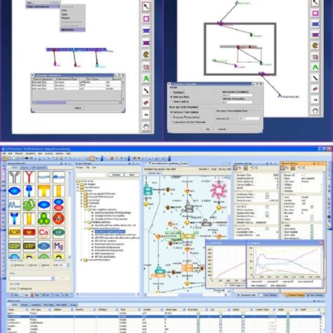 1 Outline Of Plant Secondary Metabolites Biosynthesis And Effects Of