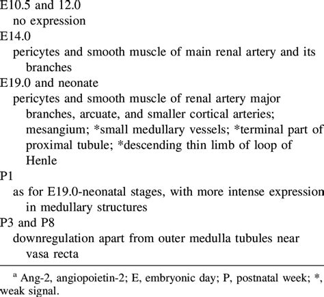 Lacz Expression Driven By The Ang 2 Promoter In Mouse Metanephros A Download Scientific Diagram