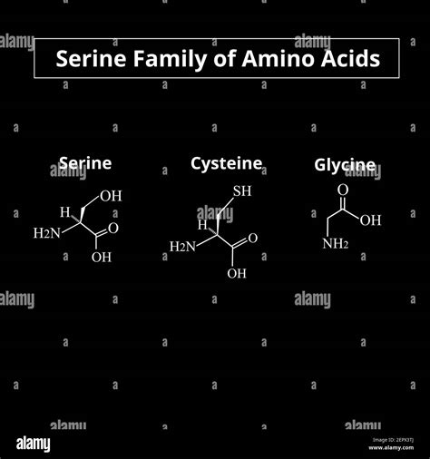 The Amino Acids Glycine At Carol Santana Blog
