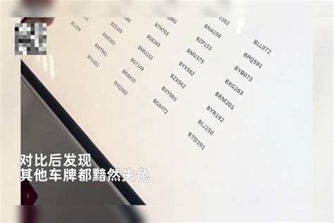 女子随机选车牌号，一个车牌字母和数字组合都太高调，网友，这个有个性 字母 车牌 组合