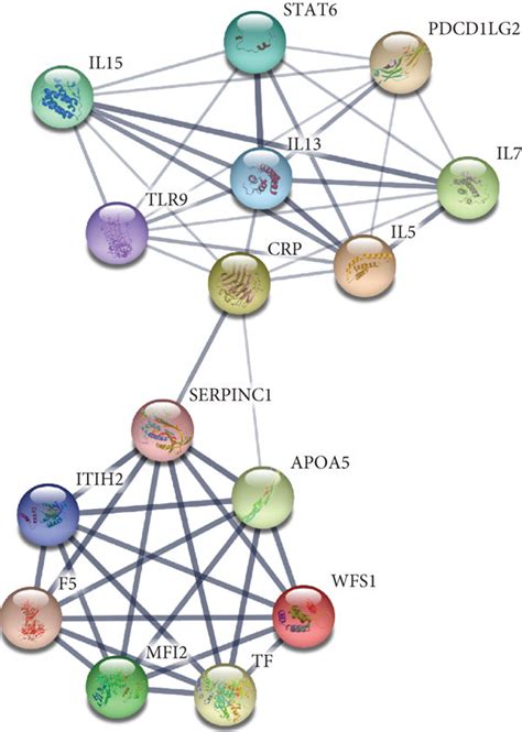 Construction Of Ppi Network By Downregulated Degs The Ppi Networks Of