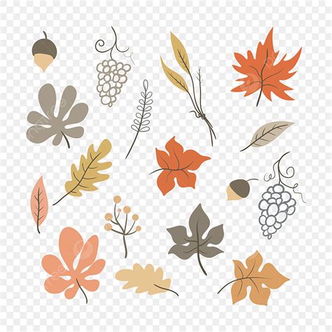 Autumn Leaf Illustration Vector Hd Png Images Autumn Leaf Vector