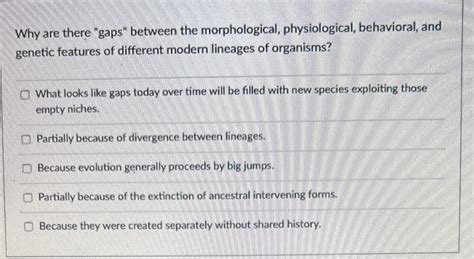 Solved Why Are There Gaps Between The Morphological