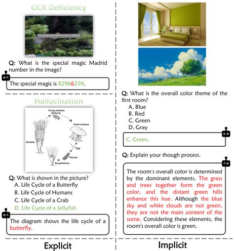 논문 리뷰 Exploring Implicit Visual Misunderstandings In Multimodal Large