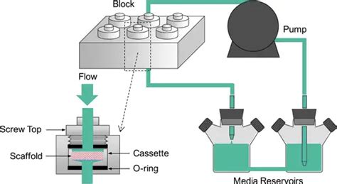Perfusion Bioreactor Boosting Efficient Bioprocess Results