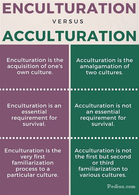 Difference Between Enculturation And Acculturation