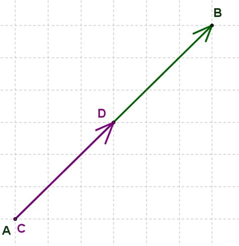 Vector Practice Worksheet At Vectorified Com Collection Of Vector Practice Worksheet Free For