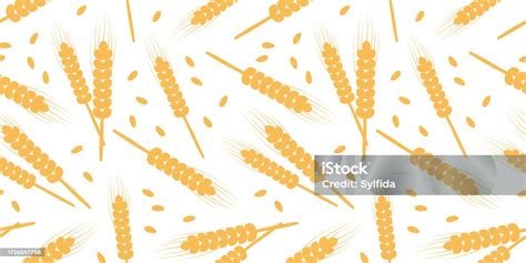 밀 스파이크 원활한 패턴 곡물 보리 배경 시리얼 농업 벡터 질감 황금 식물 곡초류에 대한 스톡 벡터 아트 및 기타 이미지