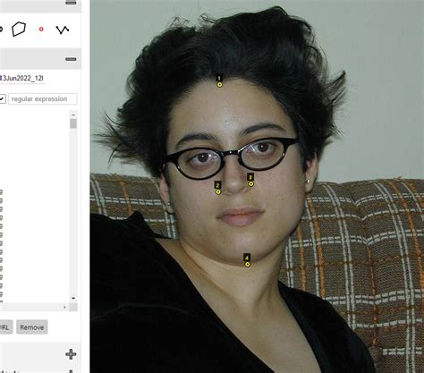 Vgg Annotator