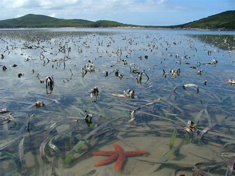 Corner Inlet Marine National Park Attraction Gippsland Victoria