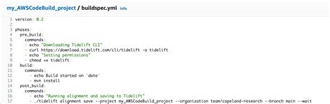 Using Tidelift With Aws Codebuild Tidelift