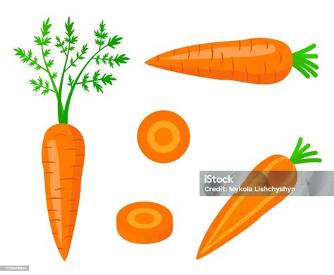 만화 스타일의 잎신선한 당근 벡터 전체 절반 및 흰색 배경에 고립 된 달콤한 당근을 부품 당근에 대한 스톡 벡터 아트 및 기타 이미지 Istock