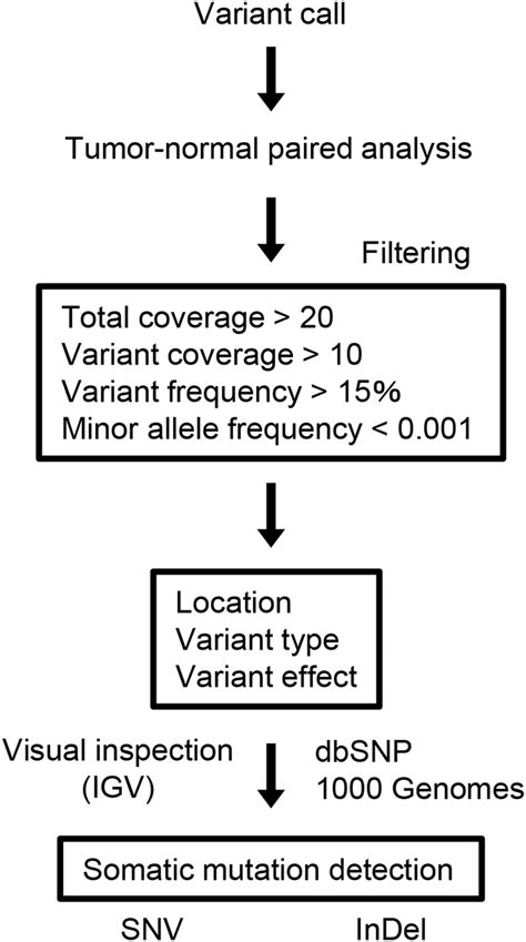 Data Analysis Pipeline Workflow To Identify Somatic Snvs And Indels Download Scientific