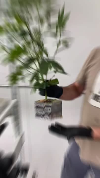 Lance Guyan On Linkedin Day 14 For These Girls 👩🏼 A Lot Of People Ask