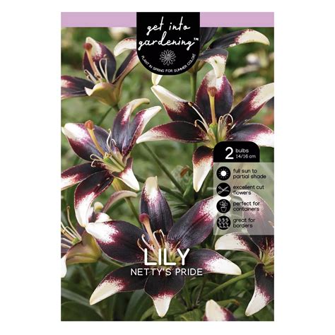 Lily Nettys Pride Shop Seeds At H E B