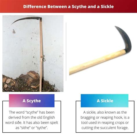 Scythe Vs Sickle Difference And Comparison