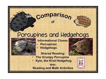 Porcupine Vs Hedgehog