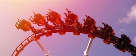 Polynomials Everything You Need To Know