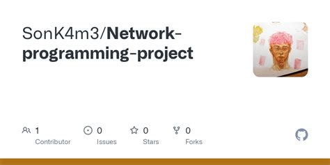 Github Sonk4m3network Programming Project