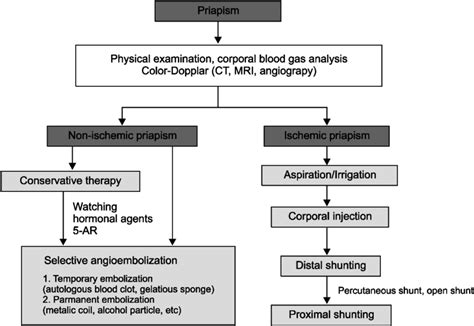 Update On Treatment Options For Stuttering Priapism Dxxj