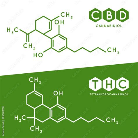 Thc Structure