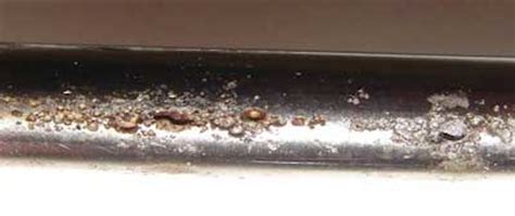 Pitting And Crevice Corrosion Of Offshore Stainless Steel Tubing