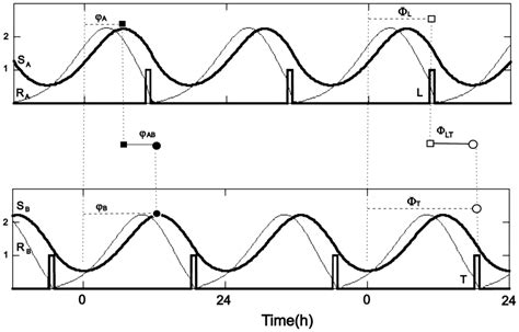 Difference Between Oscillator And Function Generator At Andrea Burnside Blog