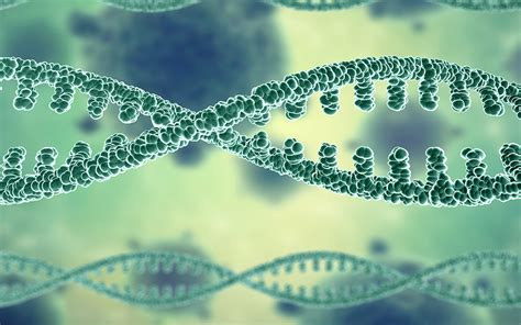 Potato Genome Breakthrough Scientists Pursue Resilient And Nutri