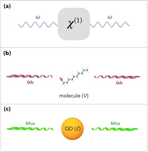 Pictures Of Linear And Nonlinear Optics A The First Order Download Scientific Diagram