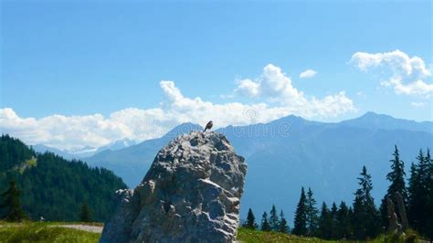 A Large Rock With A Bird On It Sitting On Top Of It Stock Image Image Of Steep Alpine 281910595