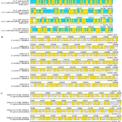 A Sequence Alignment Between Wuhan Sars Cov 2 And Candidatus
