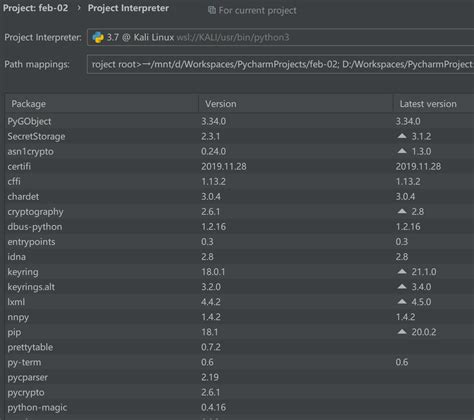 Linux Jetbrains Pycharm Win WSL Can T Not Sync Actual Python Package Stack Overflow