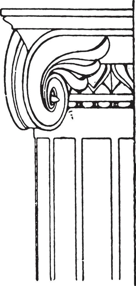 Ionic Capital Ancient Scroll Vintage Engraving 13825689 Vector Art