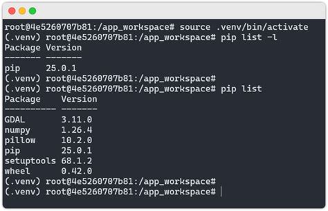 공식 Gdal 이미지로 Gis And Python 개발환경 구축하기 Feat Docker