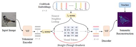 Review — Beit V2 Masked Image Modeling With Vector Quantized Visual